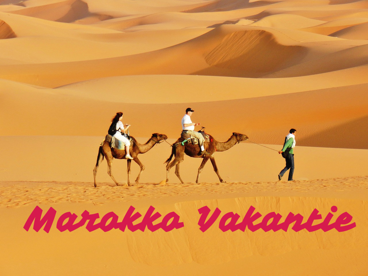 Top 10 bezienswaardigheden in Marrakech » Vakantie Marokko